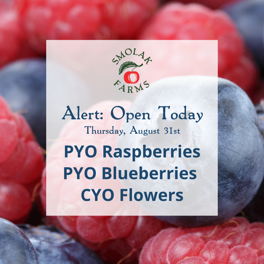 PYO Fields Are Open | Smolak Farms