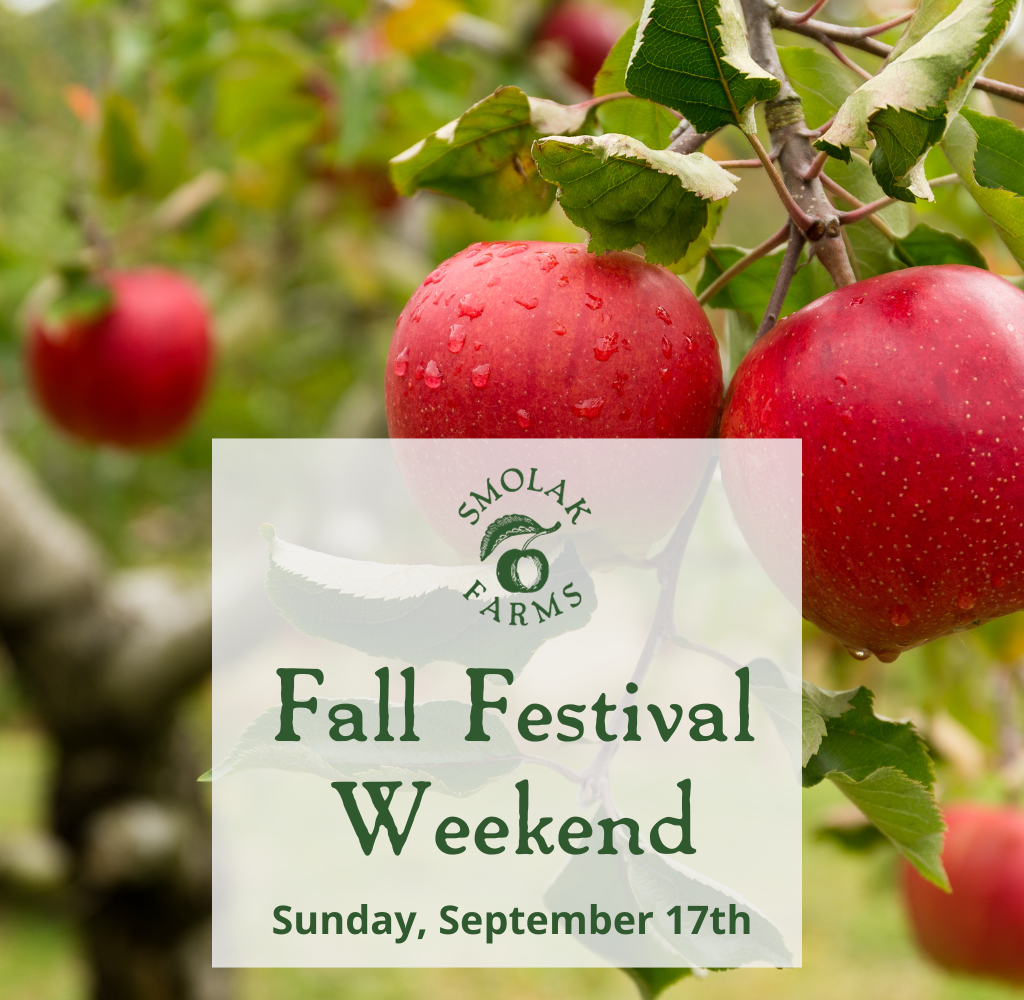 Fall Festival Sunday - SuperHero's Unite | Smolak Farms
