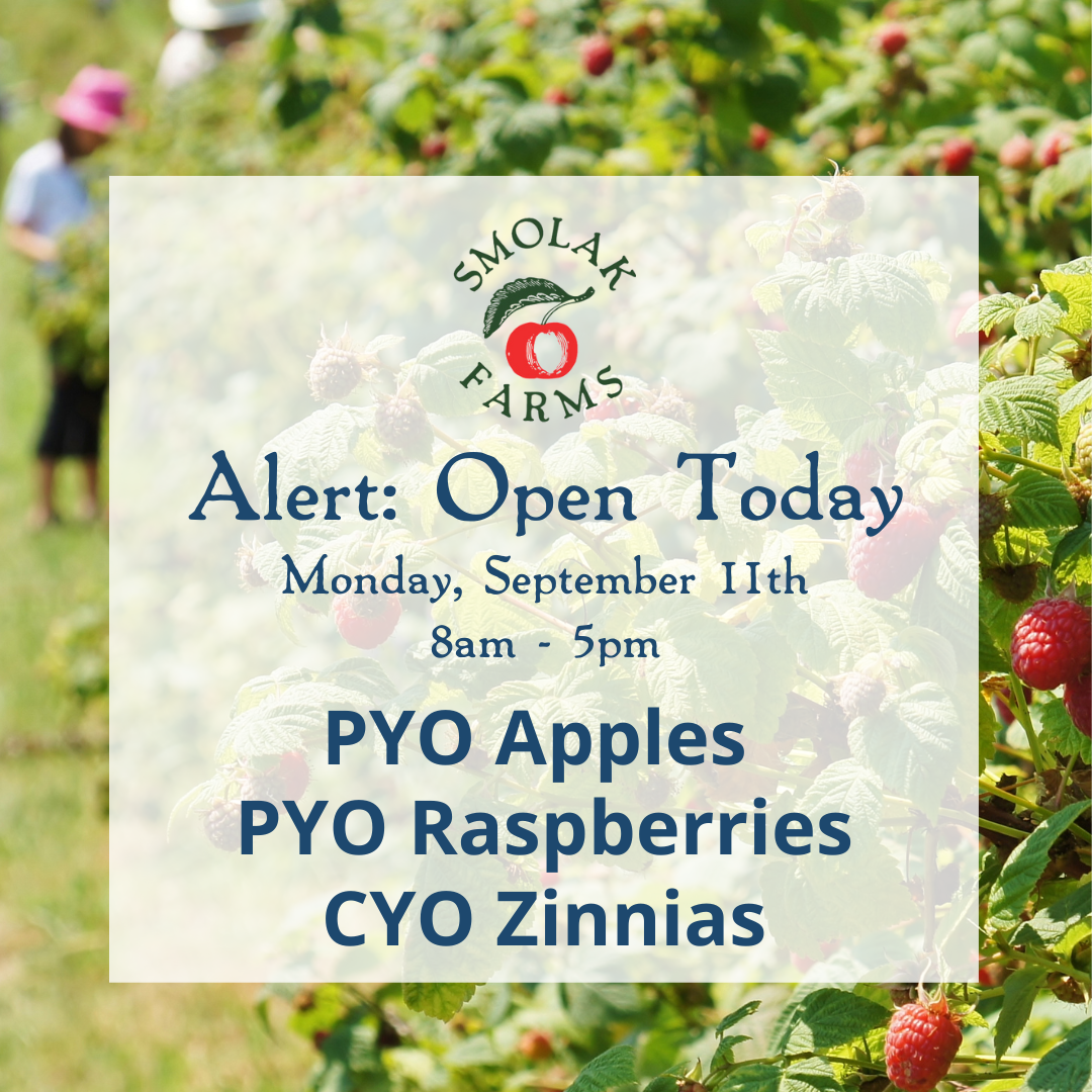 PYO Fields Are Open Today! | Smolak Farms
