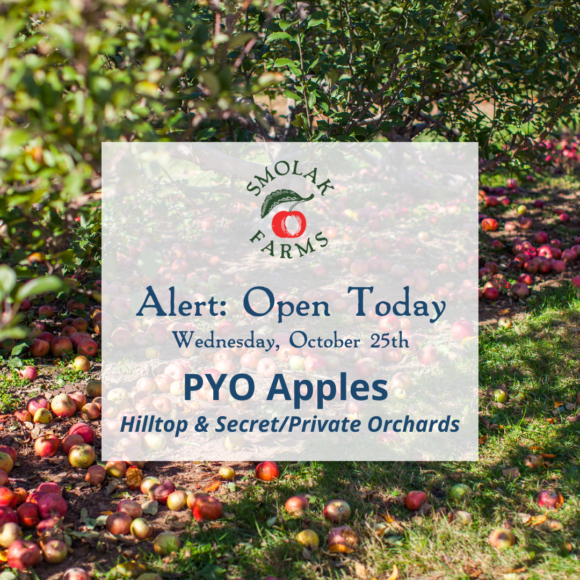 PYO Fields Are Open Today! | Smolak Farms