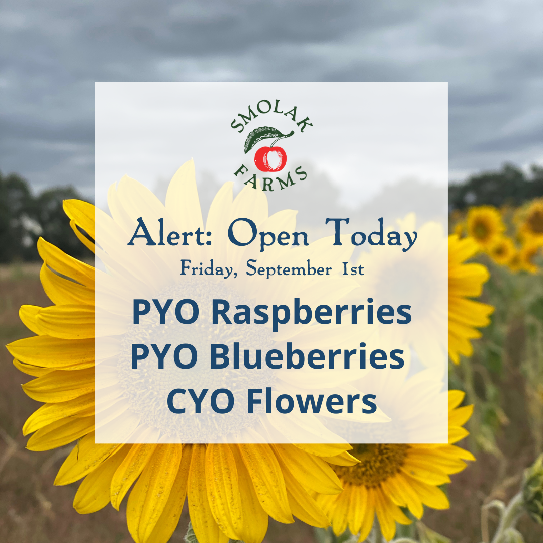 PYO Fields Are Open | Smolak Farms
