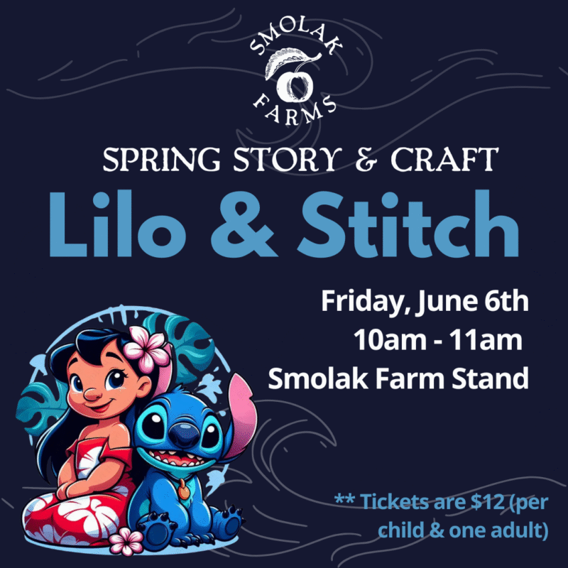 Story & Craft Featuring Lilo & Stitch | Smolak Farms